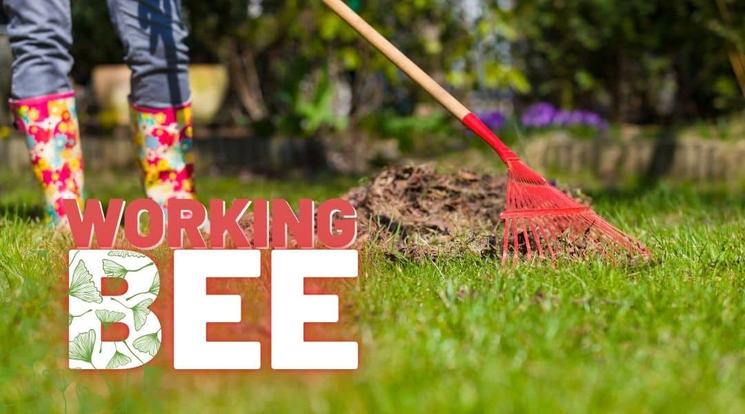 Home - Berwick Church of Christ